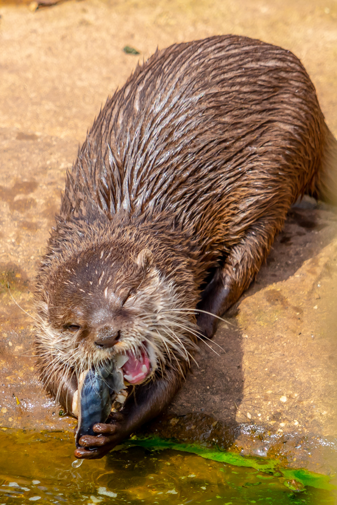 Gallery | Jim Calverley