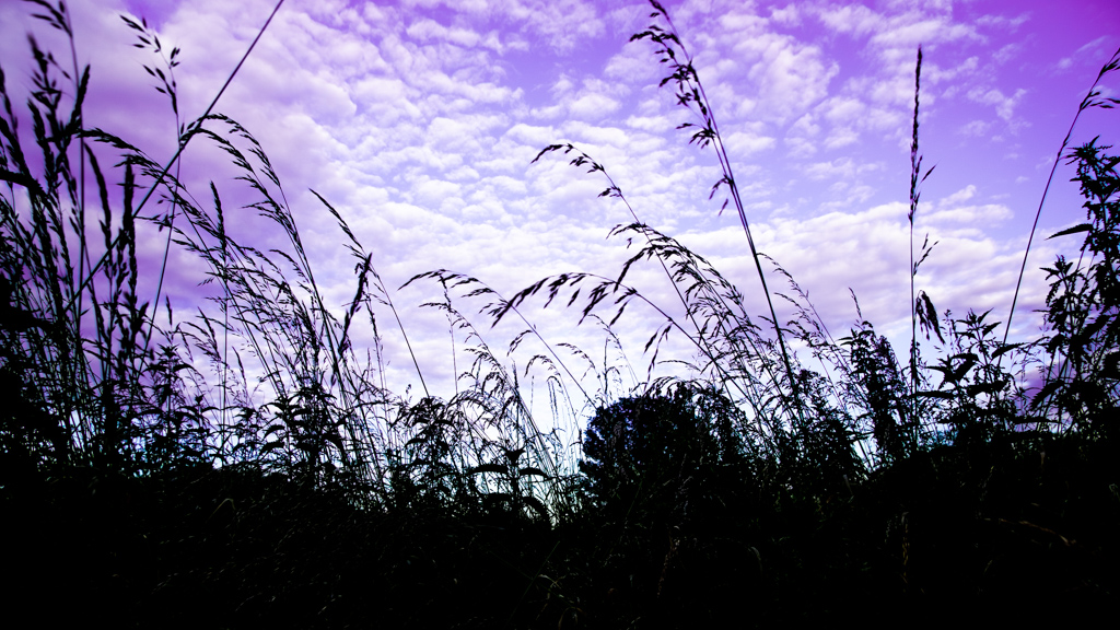 52 Frames – Week 27 – “Edited by someone else” | Jim Calverley