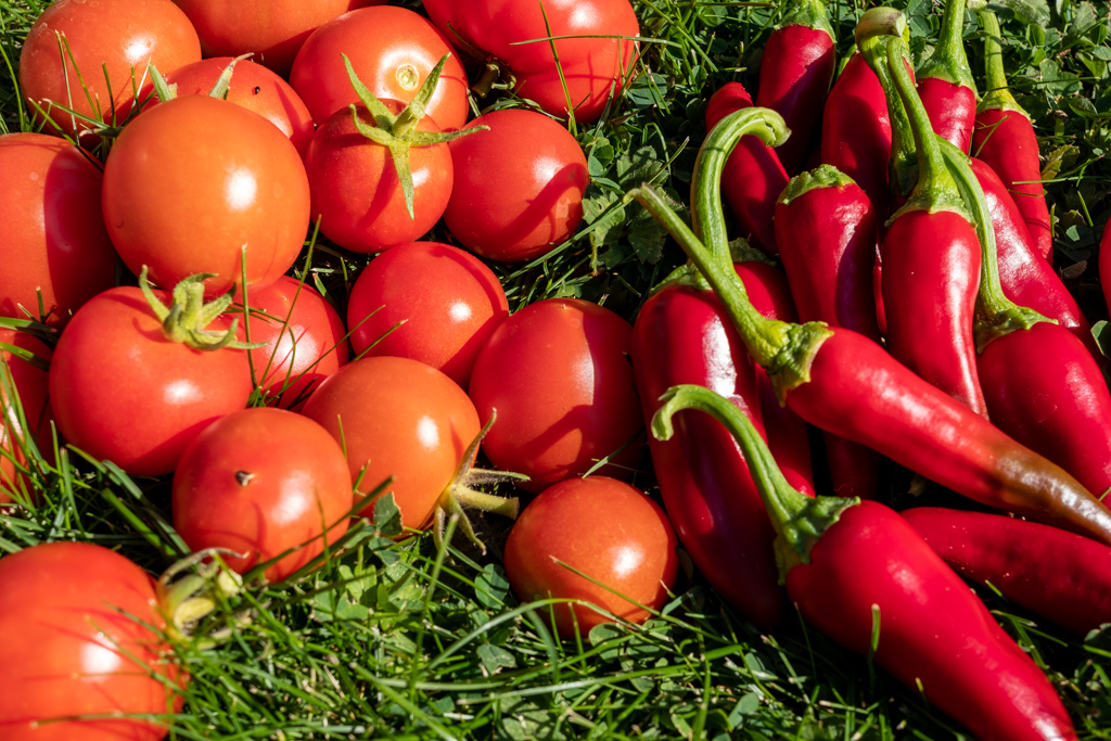 52 Frames – Week 37 – “One Light Source” | Jim Calverley